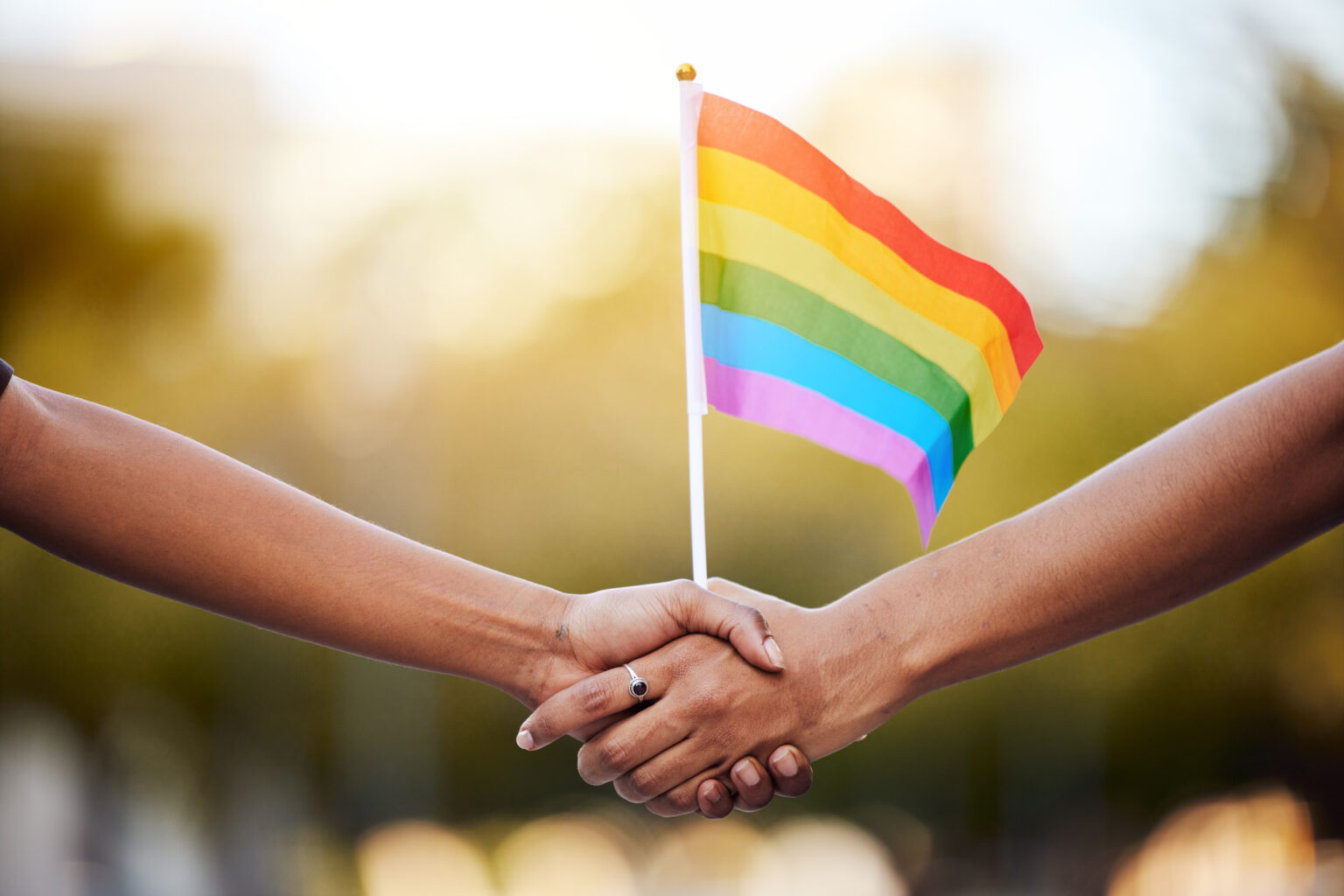 Movimento LGBTQIA+: como surgiu e quais os impactos para a sociedade ...
